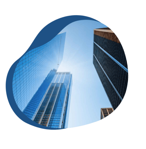 Leading Debt Collection Agency in USA - First Credit Services